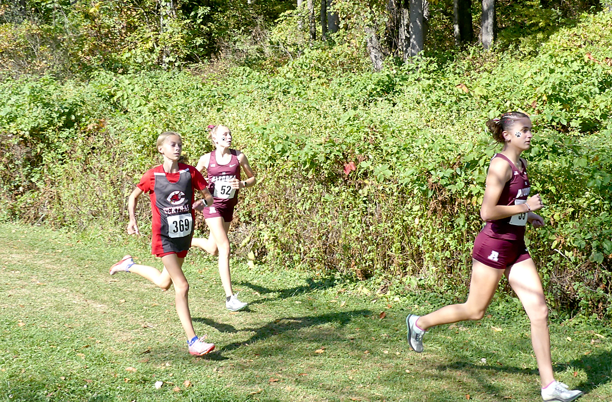 B1 Noce & Berkhimer | News, Sports, Jobs - Altoona Mirror